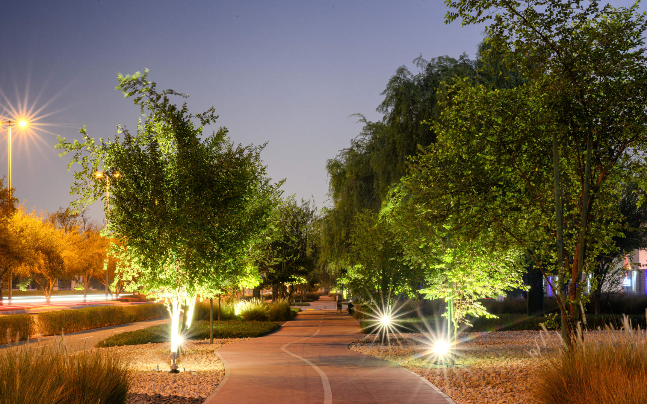 Abu Dhabi Municipality | Bloom Landscape