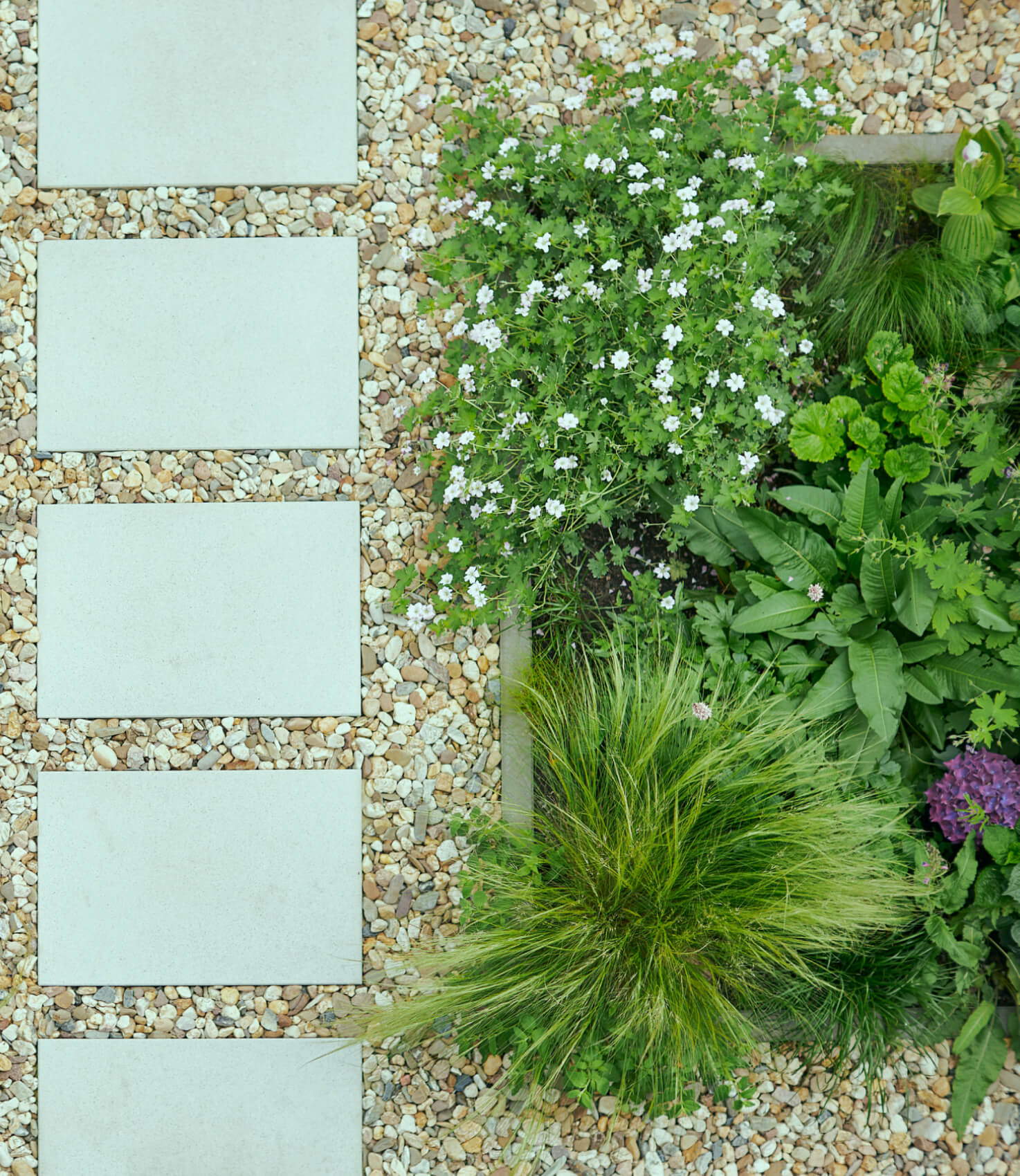 About Us | Bloom Landscape