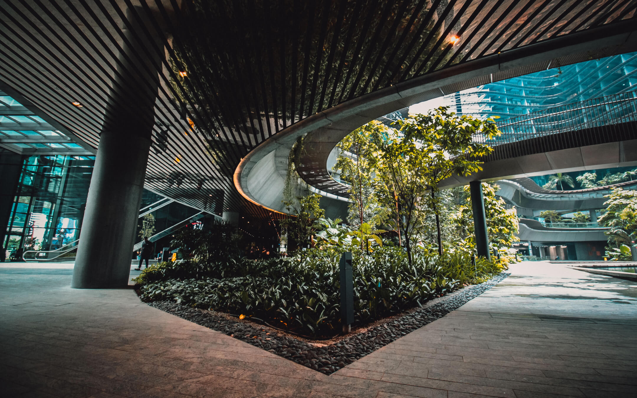 Commercial | Bloom Landscape