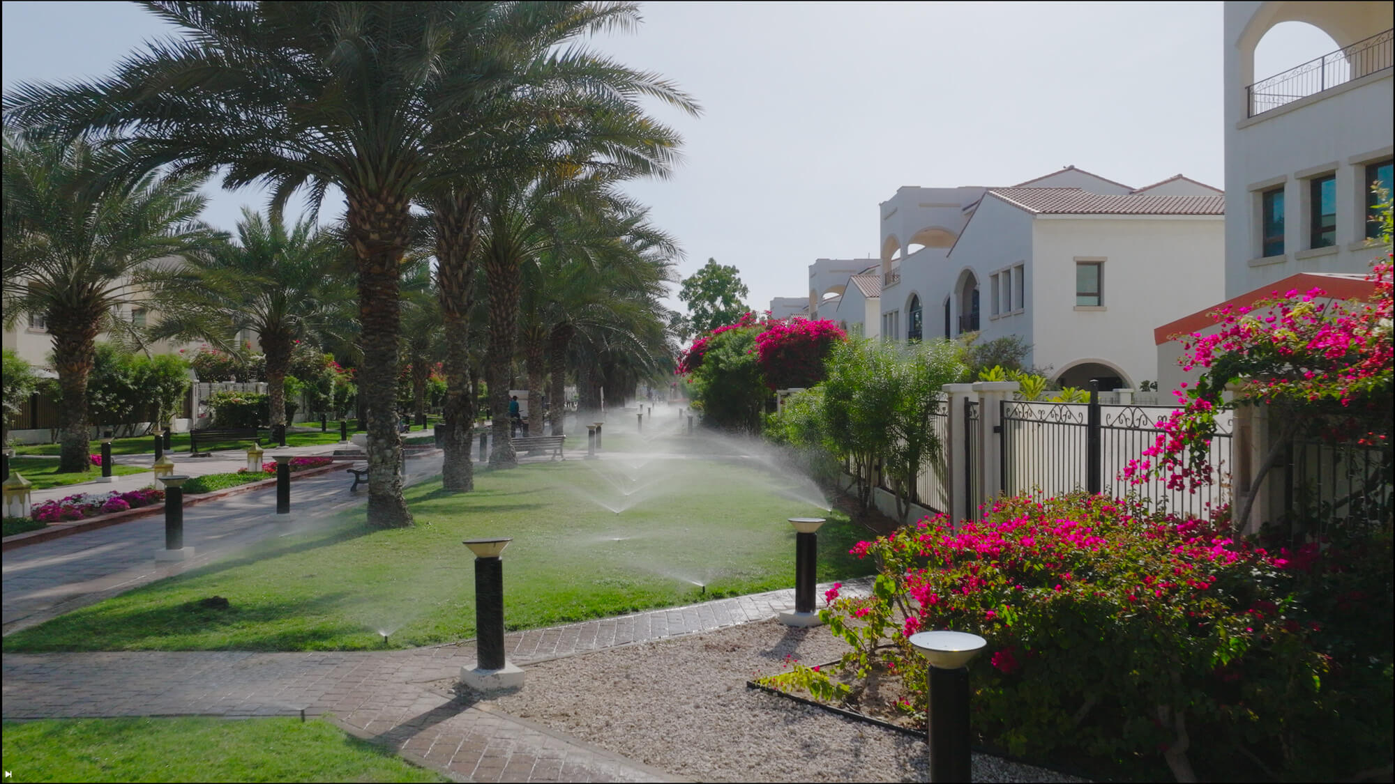 Irrigation Systems | Bloom Landscape