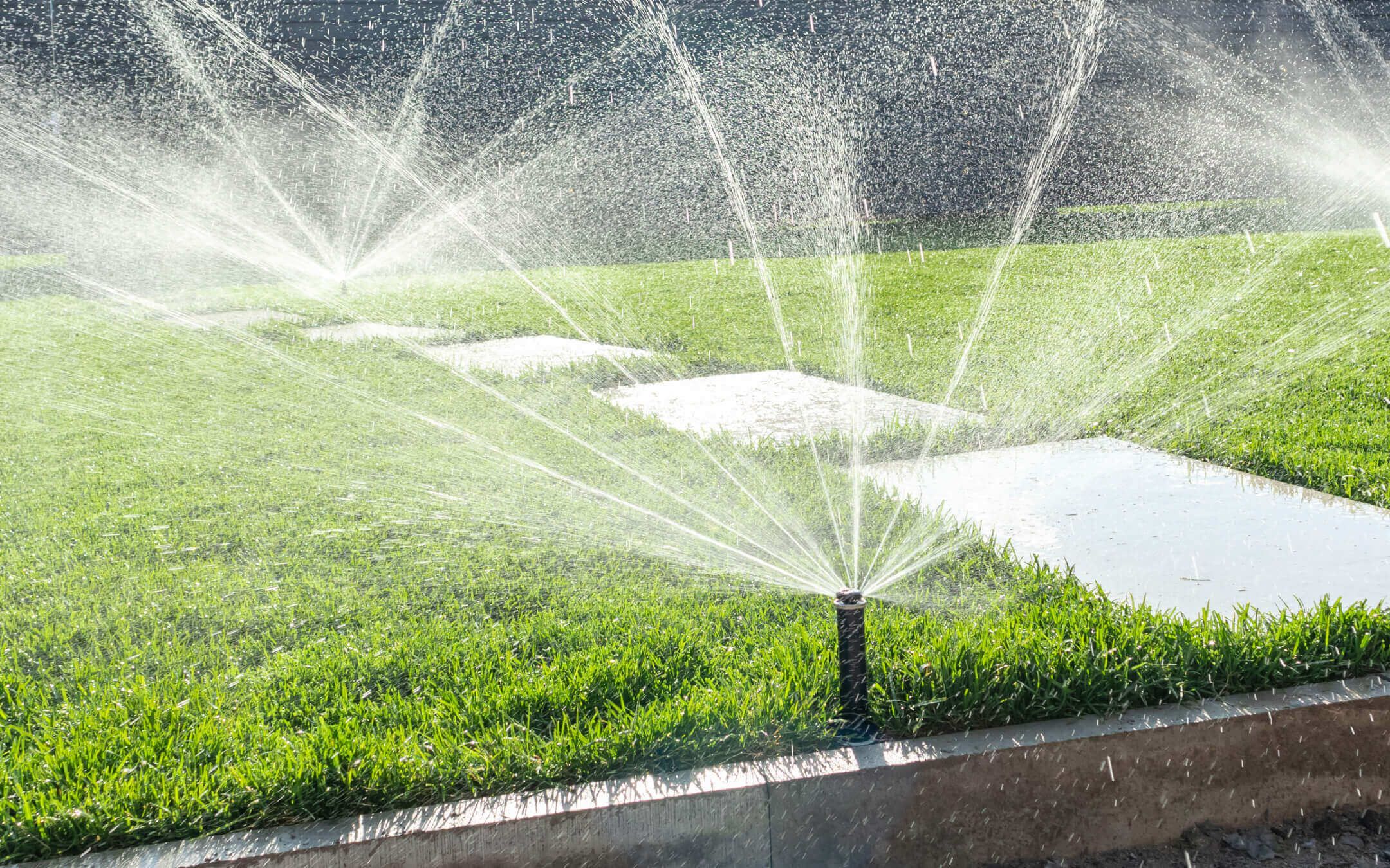 Abu Dhabi Distribution Co. (ADDC) | Bloom Landscape