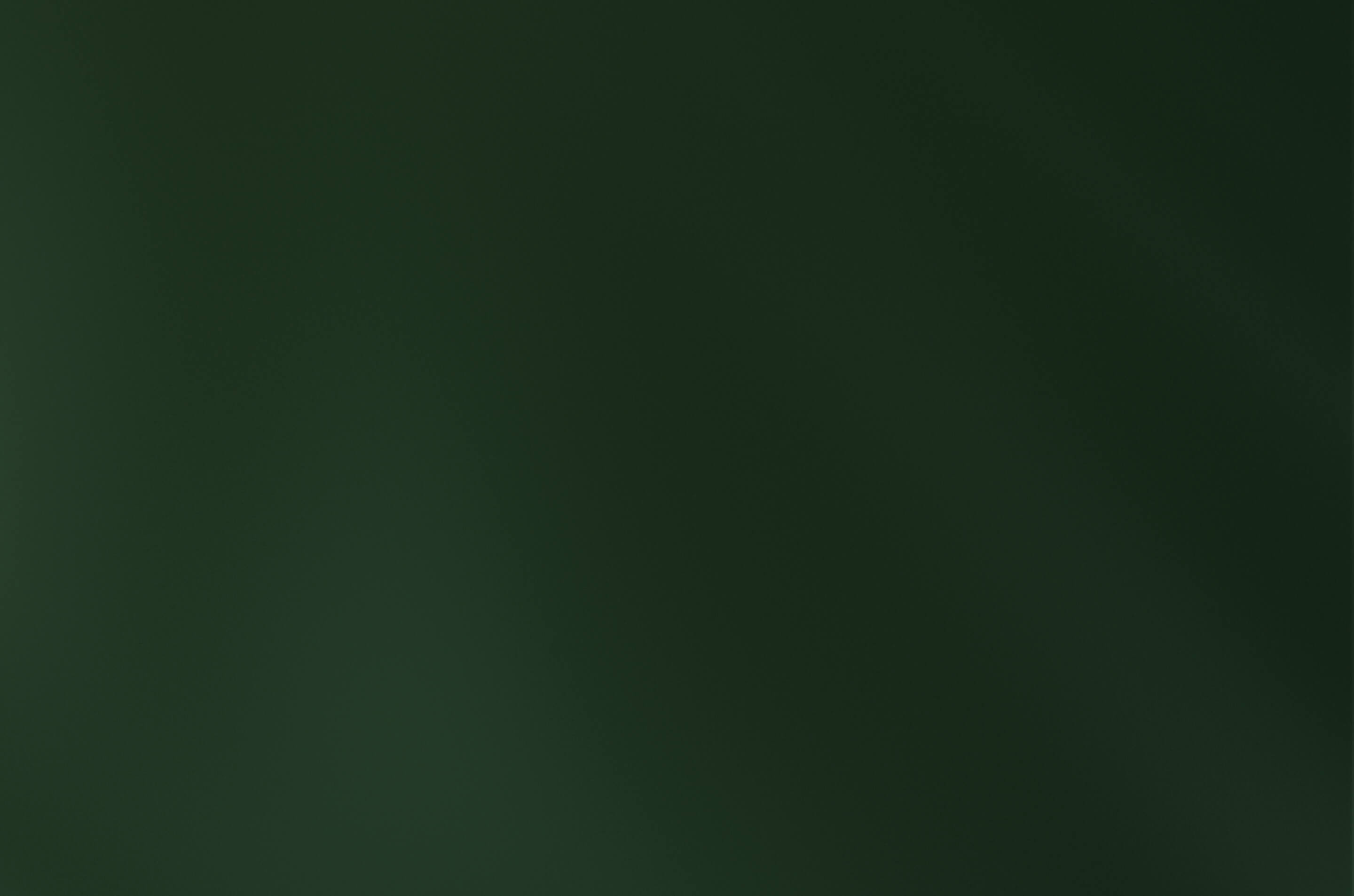 About Us | Bloom Landscape