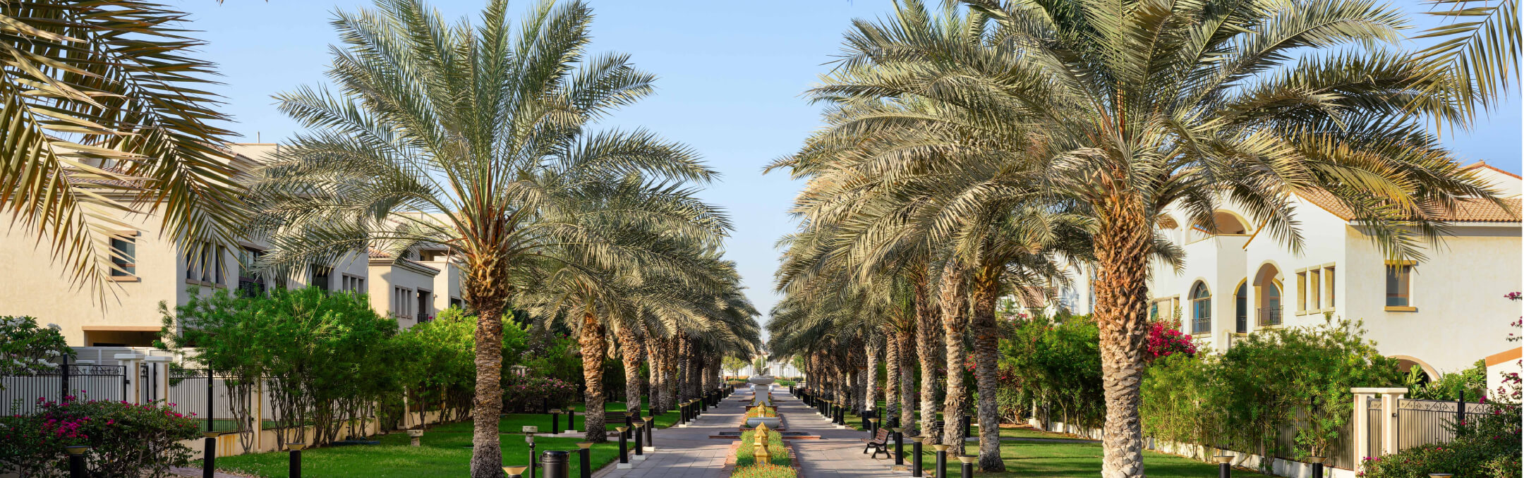 Residential | Bloom Landscape