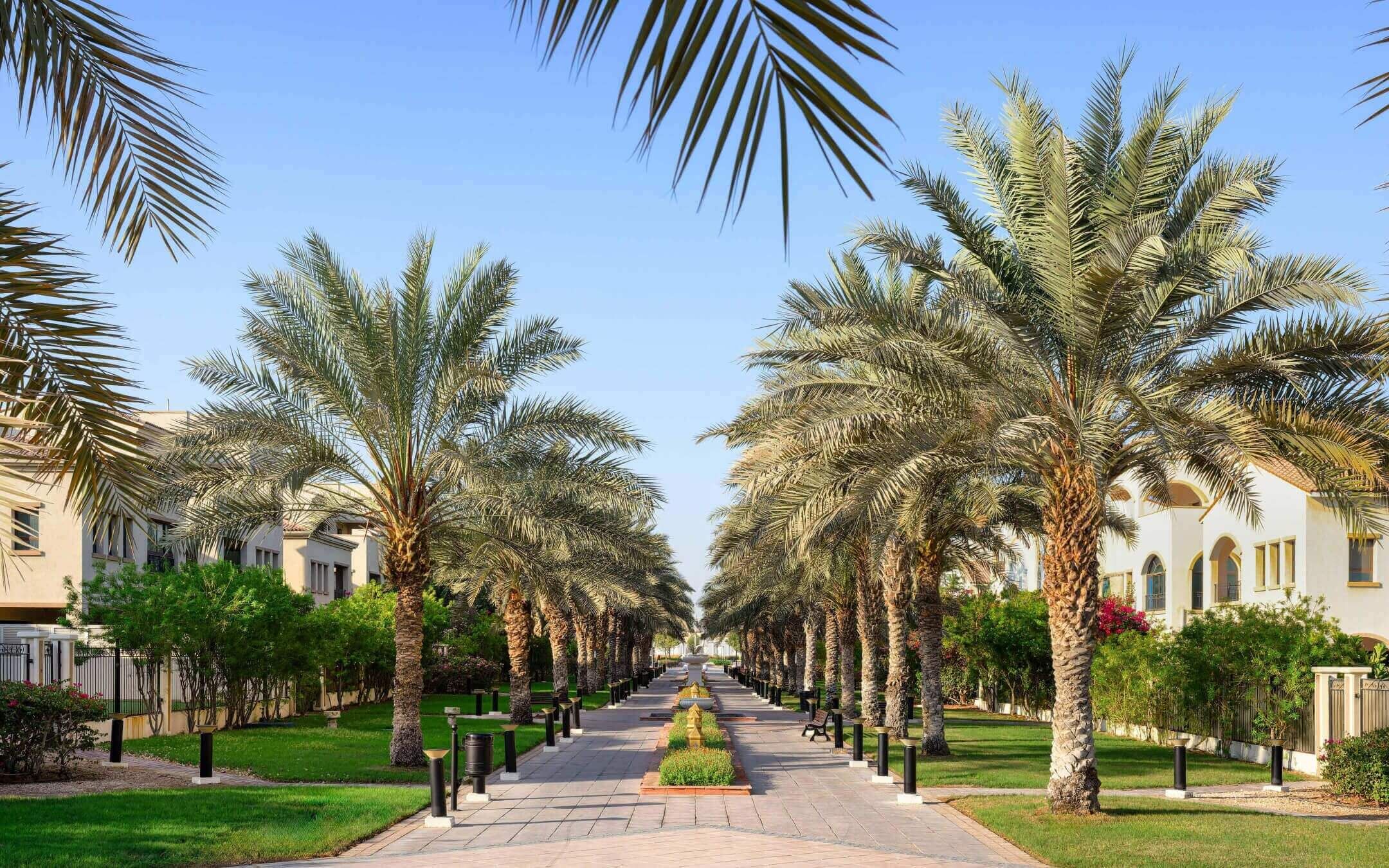 شركة الامارات المساندة مالتورو (ذ.م.م) | Bloom Landscape