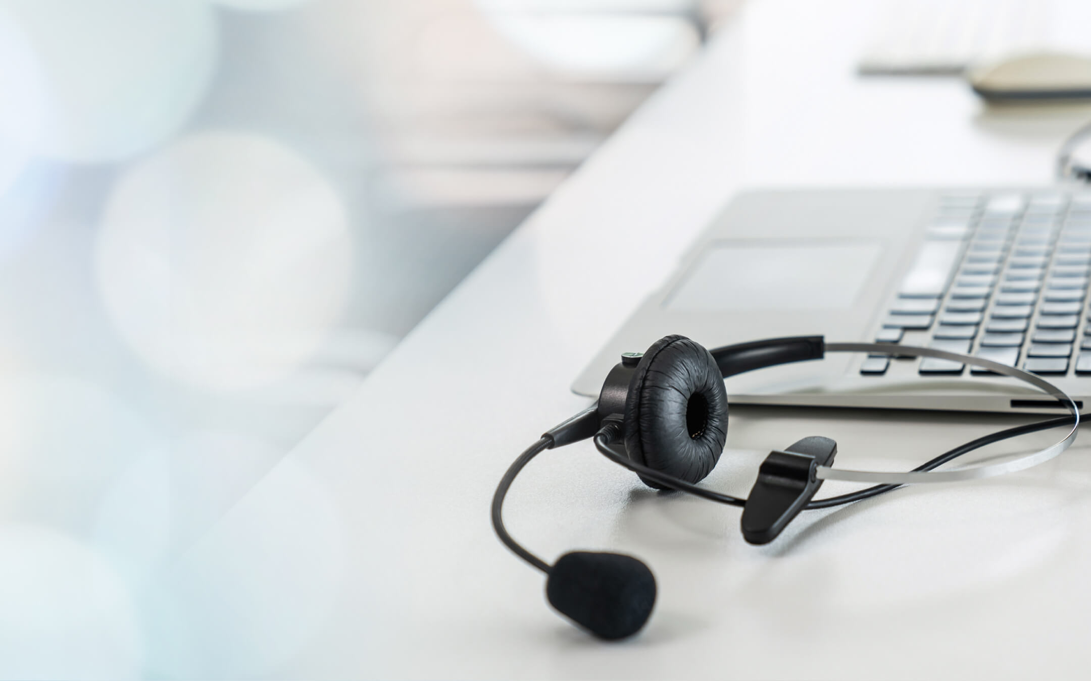 Contact Us | Bloom Landscape