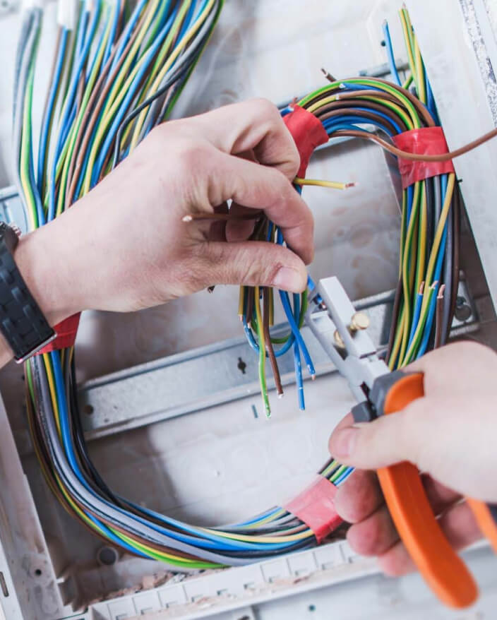 Electro-Mechanics | Bloom Landscape