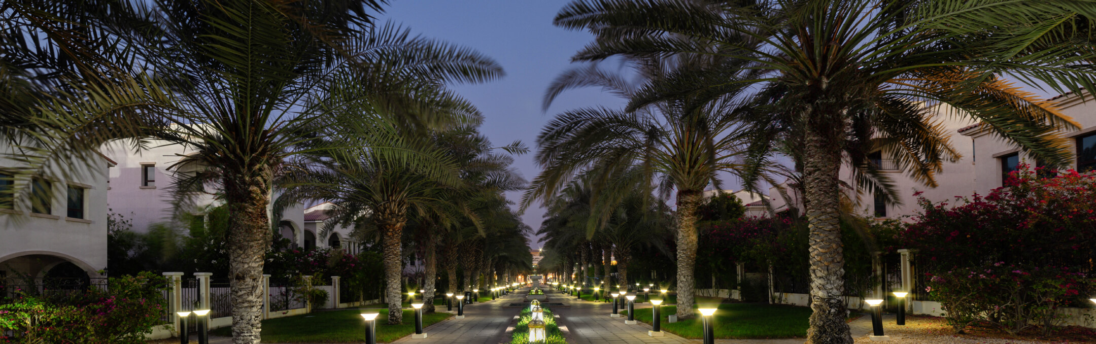 Residential | Bloom Landscape