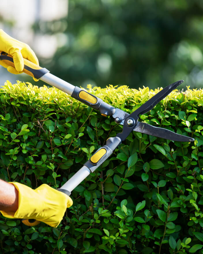 Operations and Maintenance | Bloom Landscape