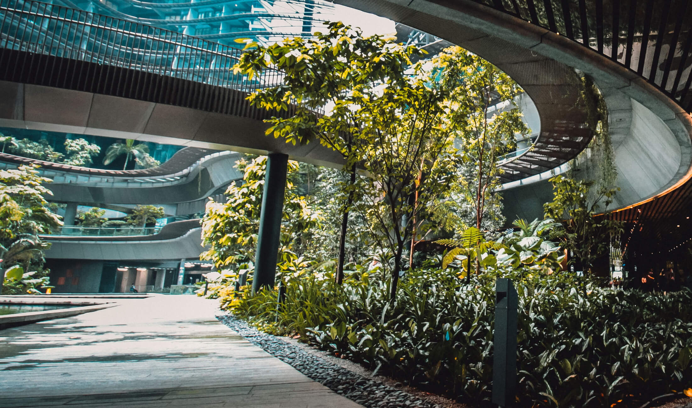 About Us | Bloom Landscape