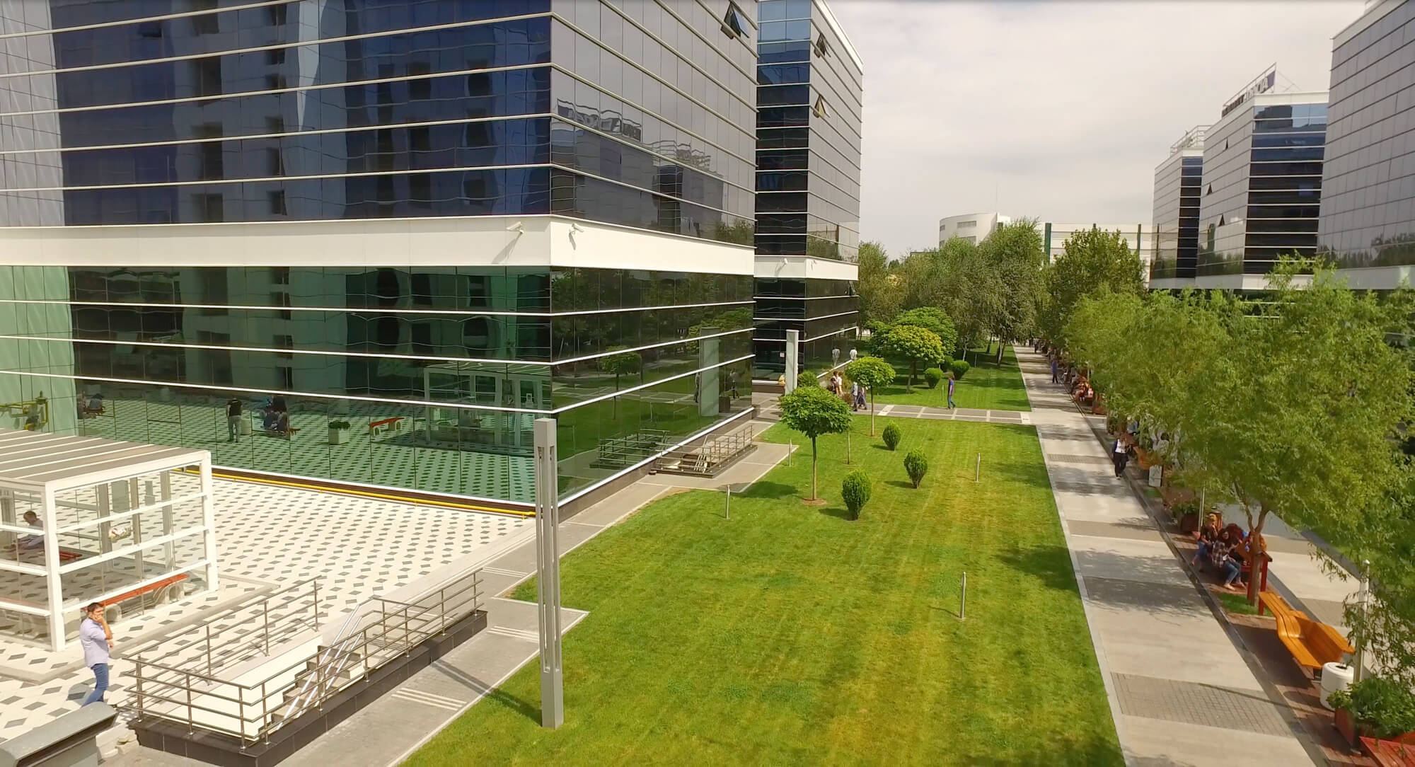 About Us | Bloom Landscape