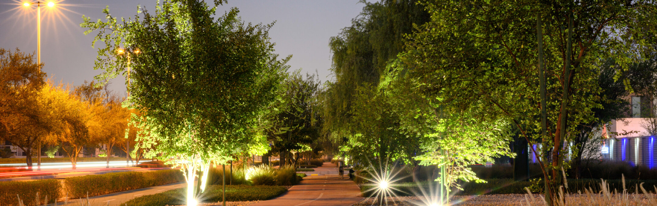 Bloom Landscape - Nurturing Nature