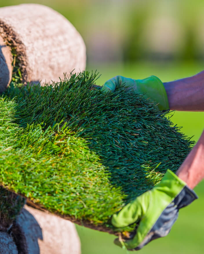 Softscape Installation | Bloom Landscape