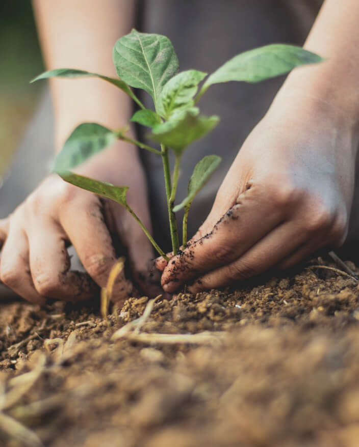 About Us | Bloom Landscape